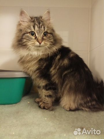 Ульяна 8 мес