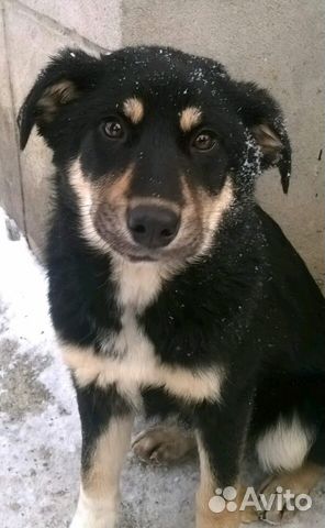 Уверенные малыши ждут своих мам и пап