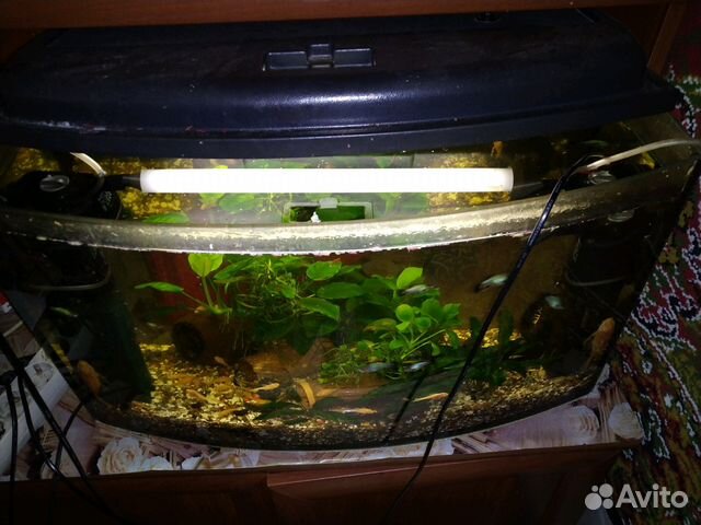 Аквариум 80 литров