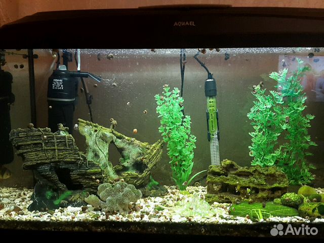 Аквариум
