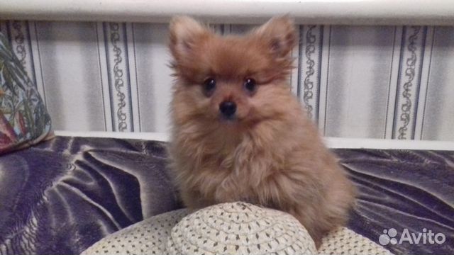 Очаровашка