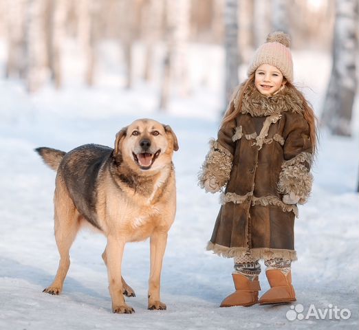 Ласковый пёсик Питер