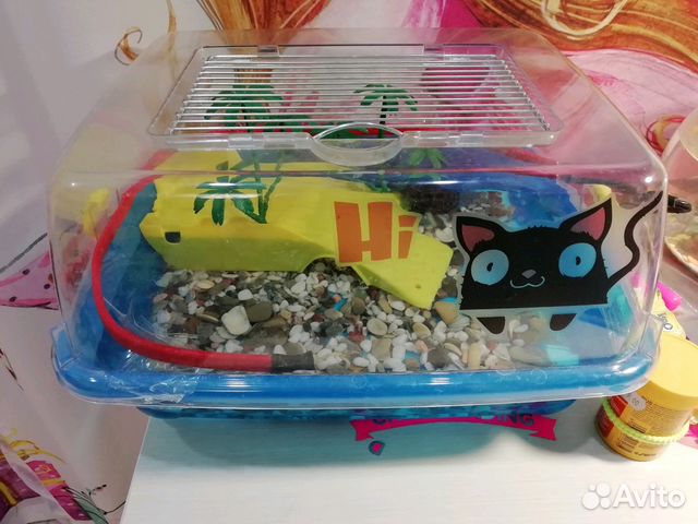 Черепаха болотная