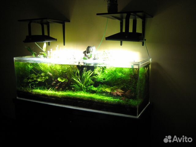 Аквариум