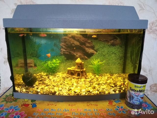 Аквариум и рыбки