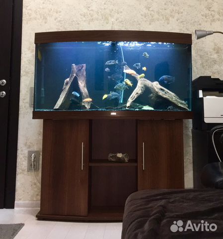 Аквариум Juwel 260 л