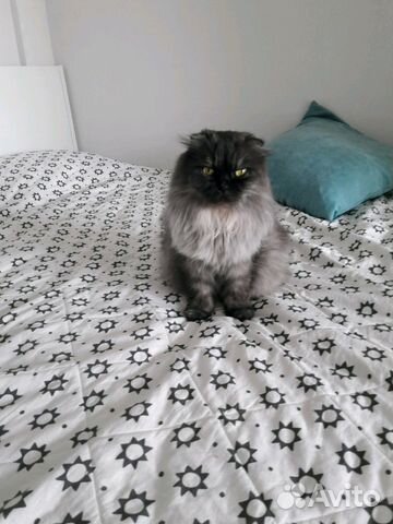 Антистресс-кошка Бусинка