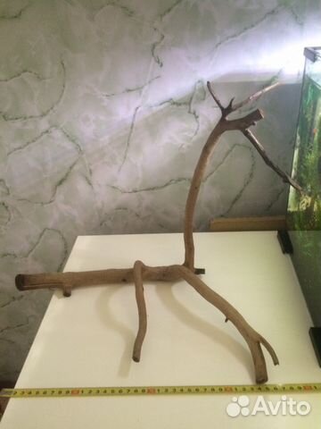 Коряга