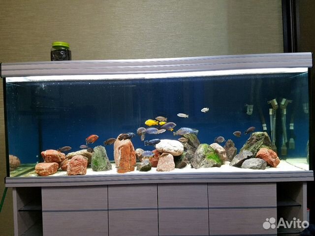 Аквариум Биодизайн Altum 750л