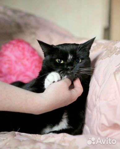 Несчастная Маша в ответственные руки