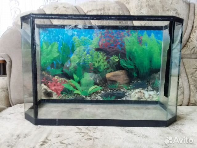 Акквариум