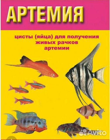 Артемия цисты, икра, яйца