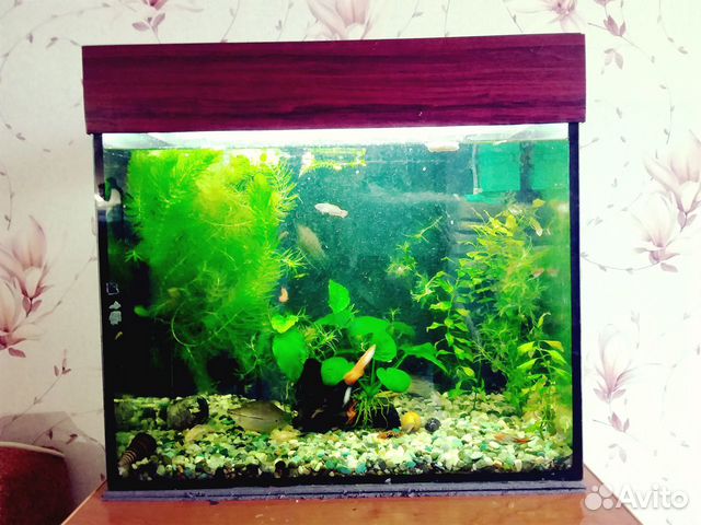 Продам аквариум