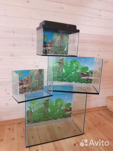 Аквариум на 10, 20, 30. 300