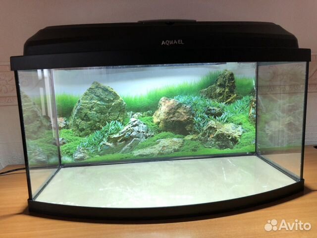 Аквариум