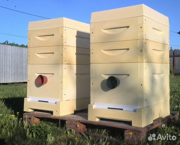 Ульи с пчёлами Карника Карпатка (племенные)