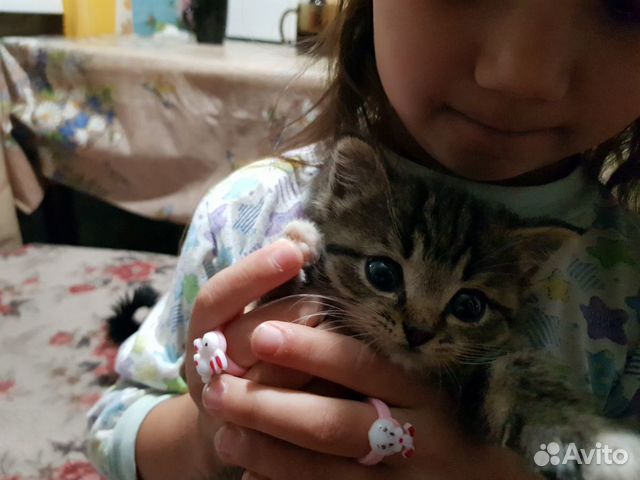 Очаровательный малыш ищет своих родителей