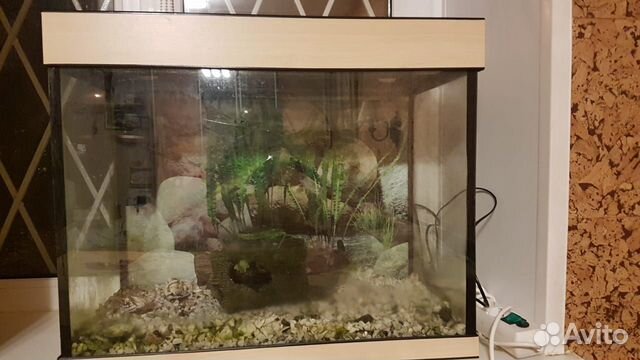 Аквариум 100л