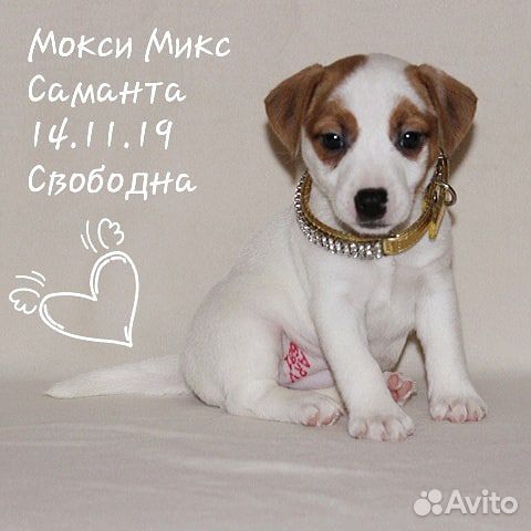 Мокси Микс Саманта