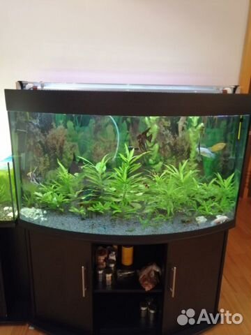 Панорамный аквариум на 400 литров, б/у