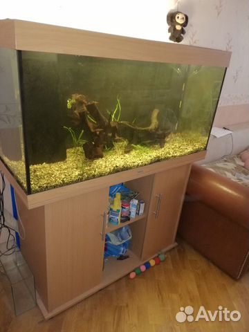 Аквариум Juwel Rio 350