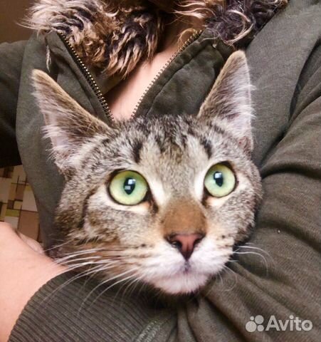 Зеленоглазая малышка ждет маму