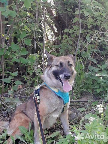 Девочка Лола