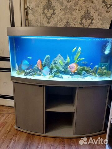 Аквариум 300л