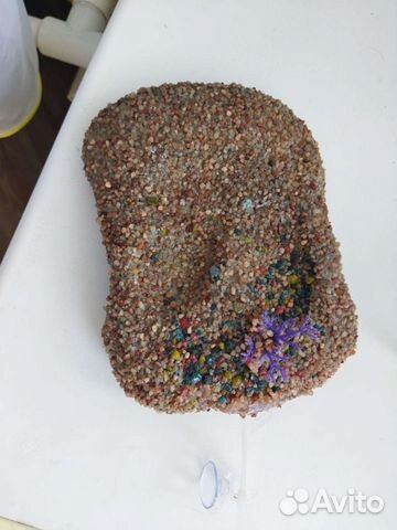 Плот для черепахи