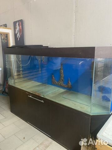 Аквриум, 1000 л