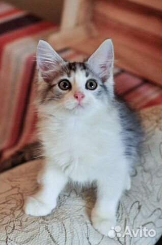 Чудесный Фёдор готов ко встрече с семьёй