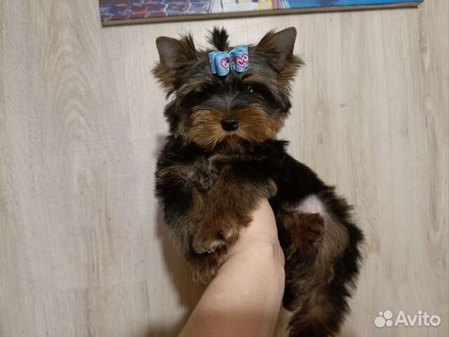 Мини мальчик