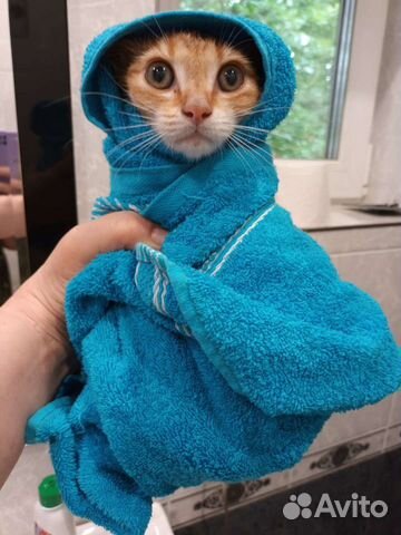 Солнечный мальчик 1.5 мес
