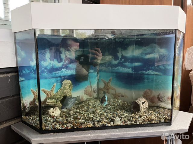 Аквариум с фильтром