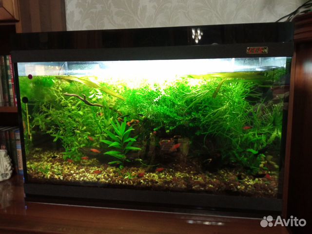 Аквариум 150 литров