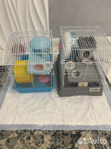 Хомячок с клеткой