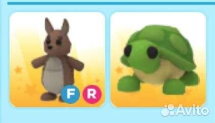 Петы адопт ми