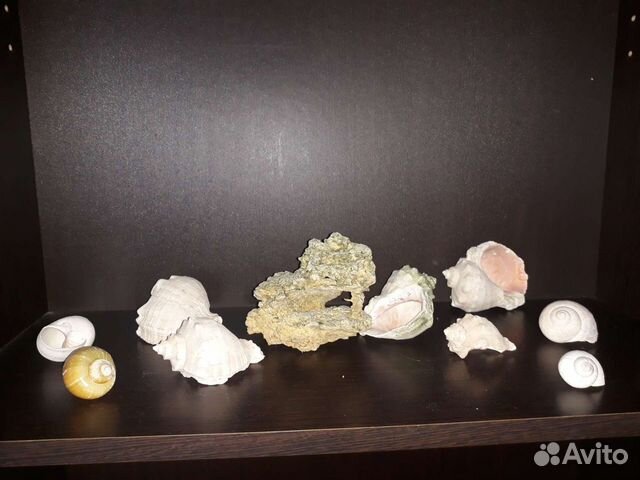 Аксессуары в аквариум