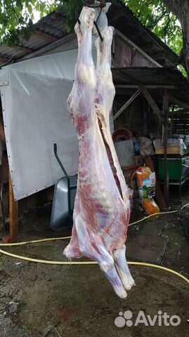 Мясо говядина