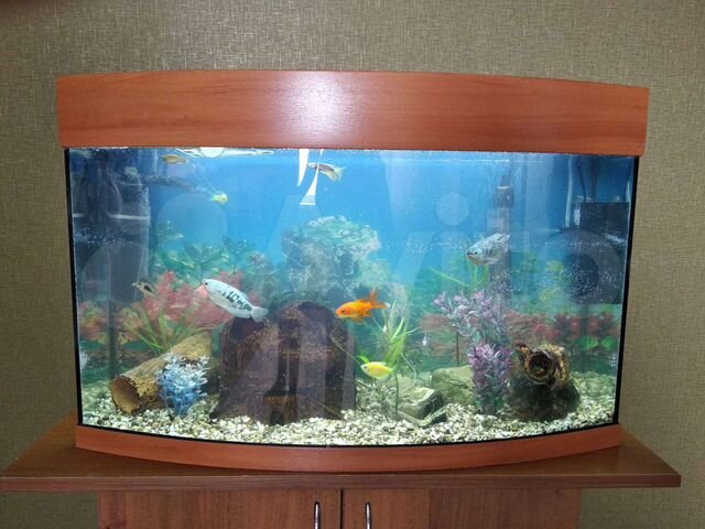 Украшение для аквариума