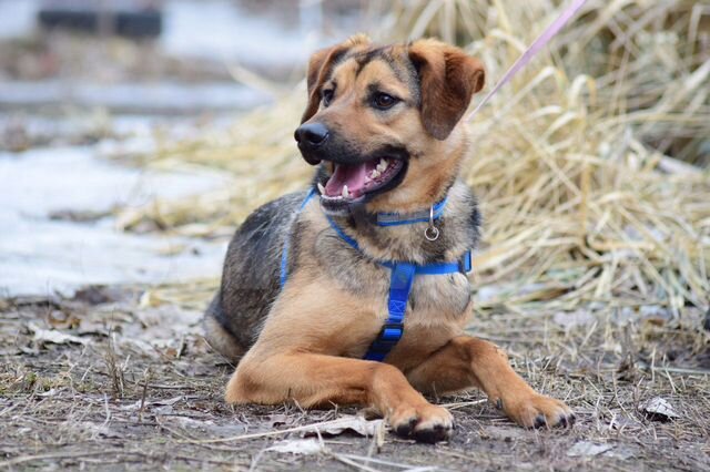 Самый милый и обаятельный мальчик 1,5 года