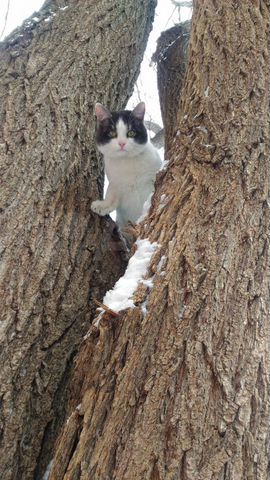 Найти скорей хороший дом мальчишке хочется