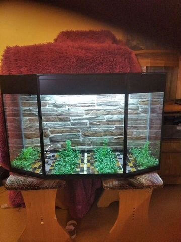 Аквариум с подсветкой